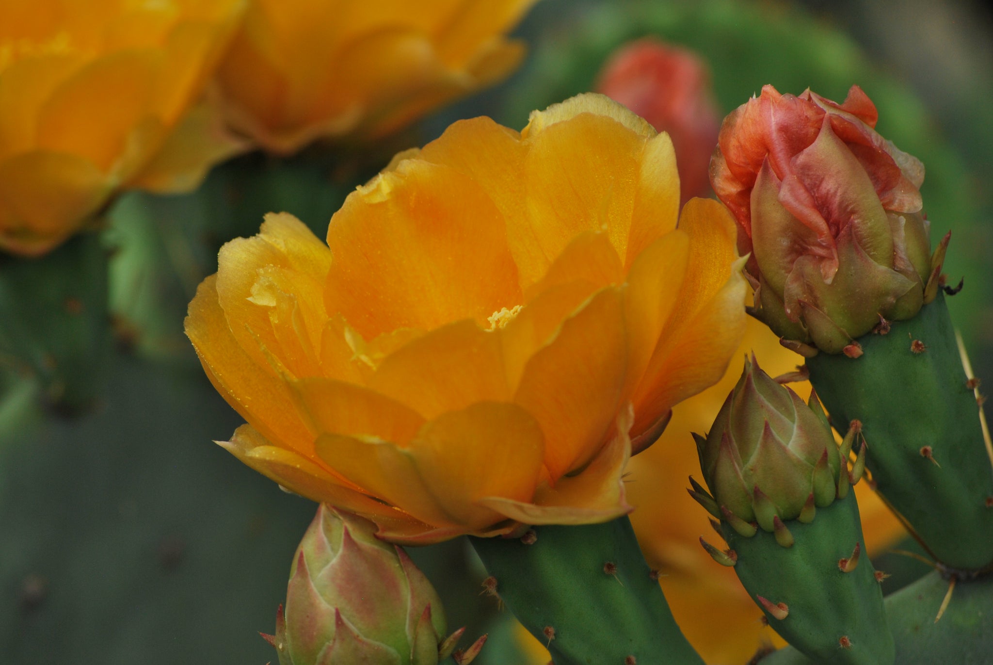 Light My Path Ministries